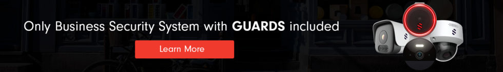 The Role of AI in Business Security - Deep Sentinel