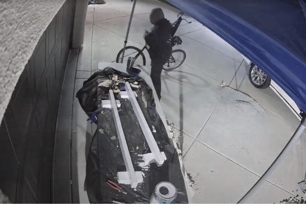 Deep Sentinel Saved My Family: From Our CEO - Deep Sentinel