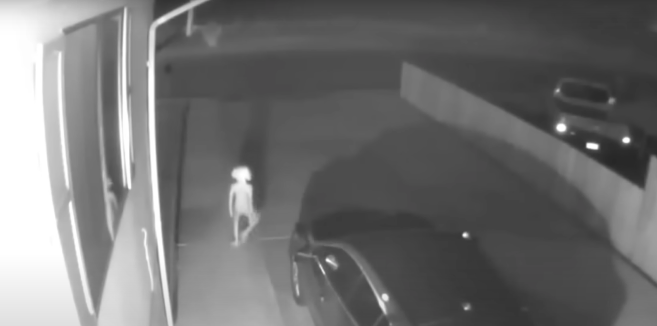 Do Security Cameras Ever Catch Paranormal Sightings? - Deep Sentinel